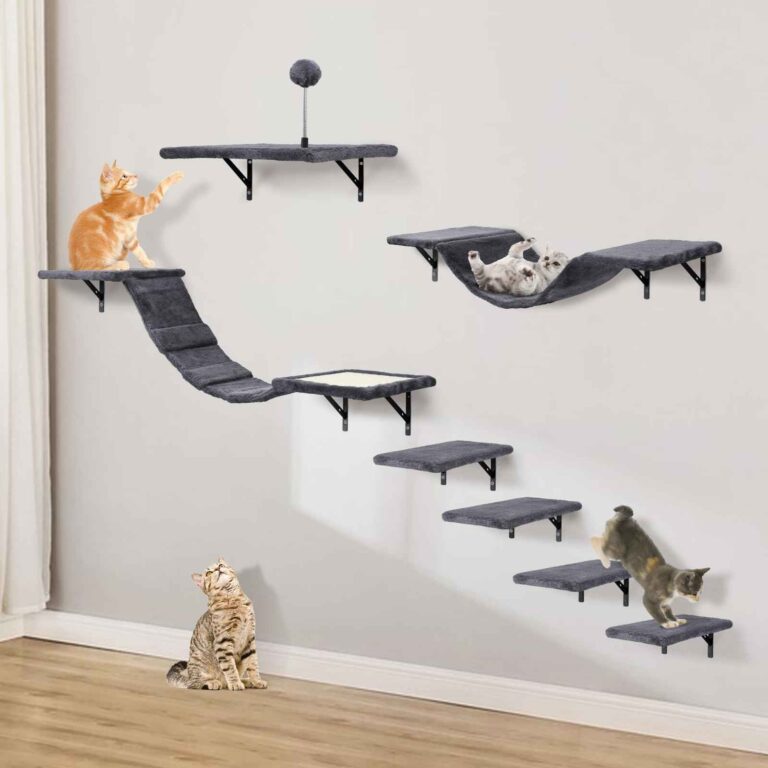 18 Indoor Cat Room Ideas Featuring Climbing Walls and Window Perches ...
