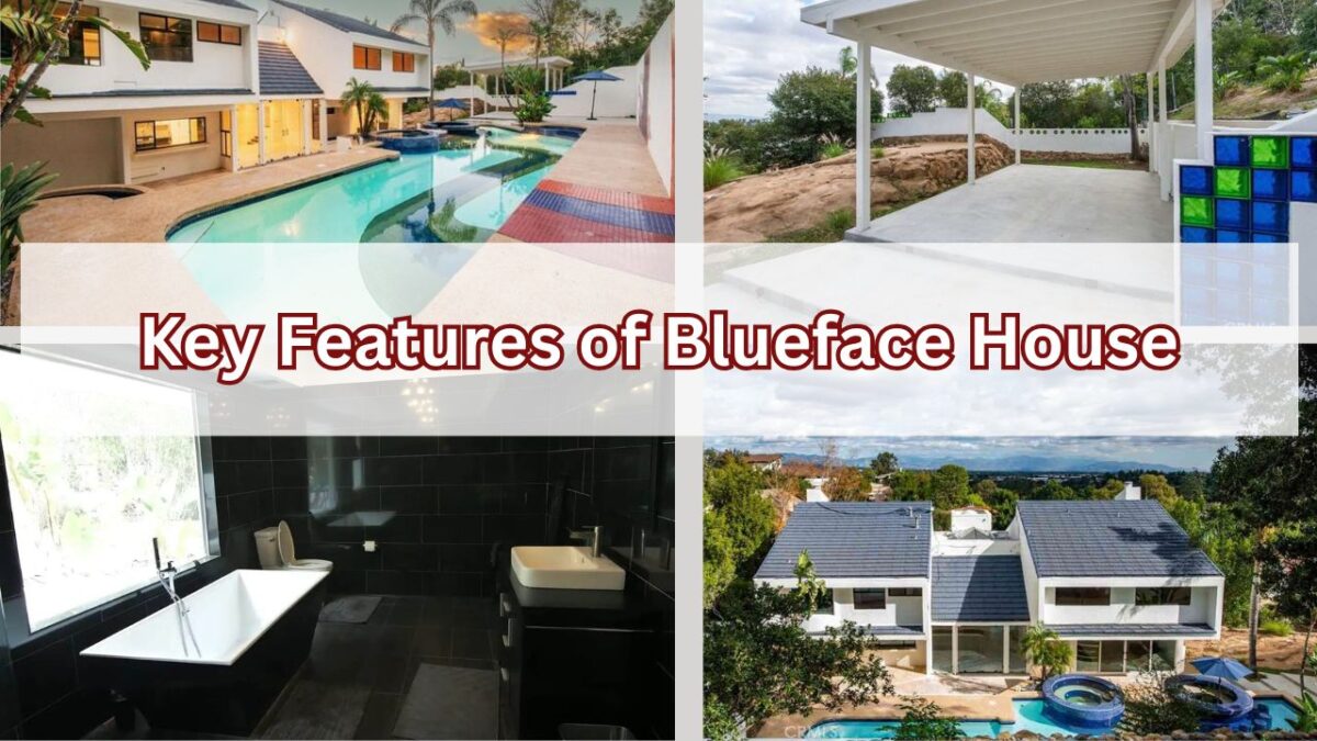 Exclusive Blueface House Tour: Inside His Million-Dollar Mansion ...